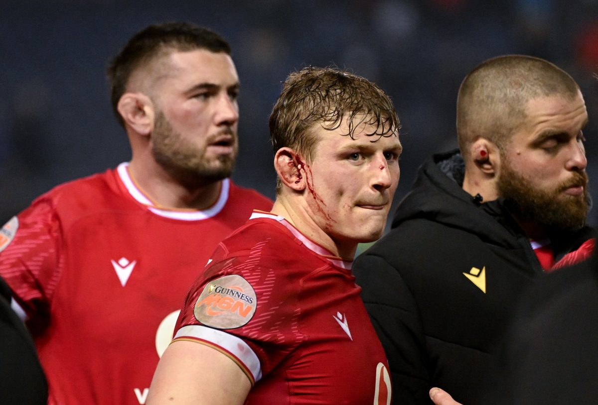 Welsh rugby is in a right old mess but it can be saved with a little sanity