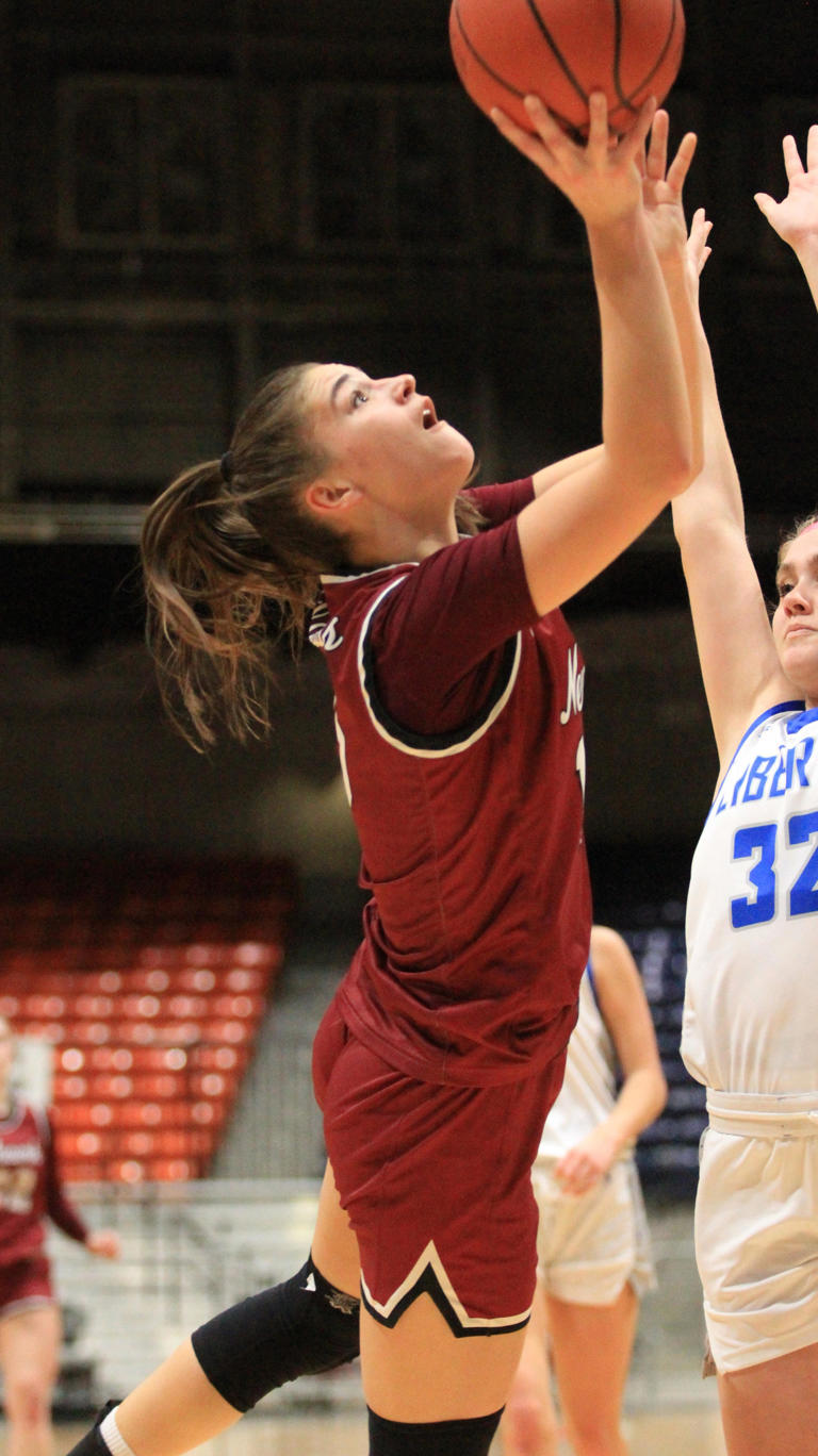 Newark's Geller, Heights' Russ favorite basketball players to watch