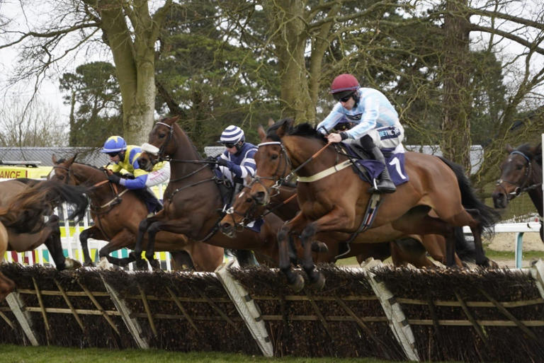 St Patrick's Day racing at Fontwell Park - in 23 photos by Clive Bennett