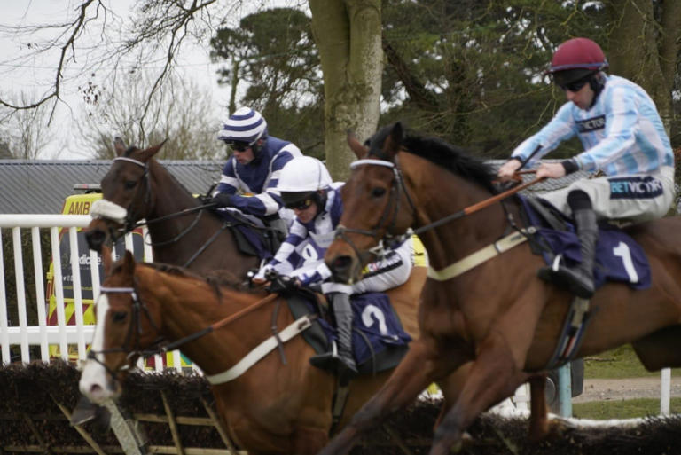 St Patrick's Day racing at Fontwell Park - in 23 photos by Clive Bennett