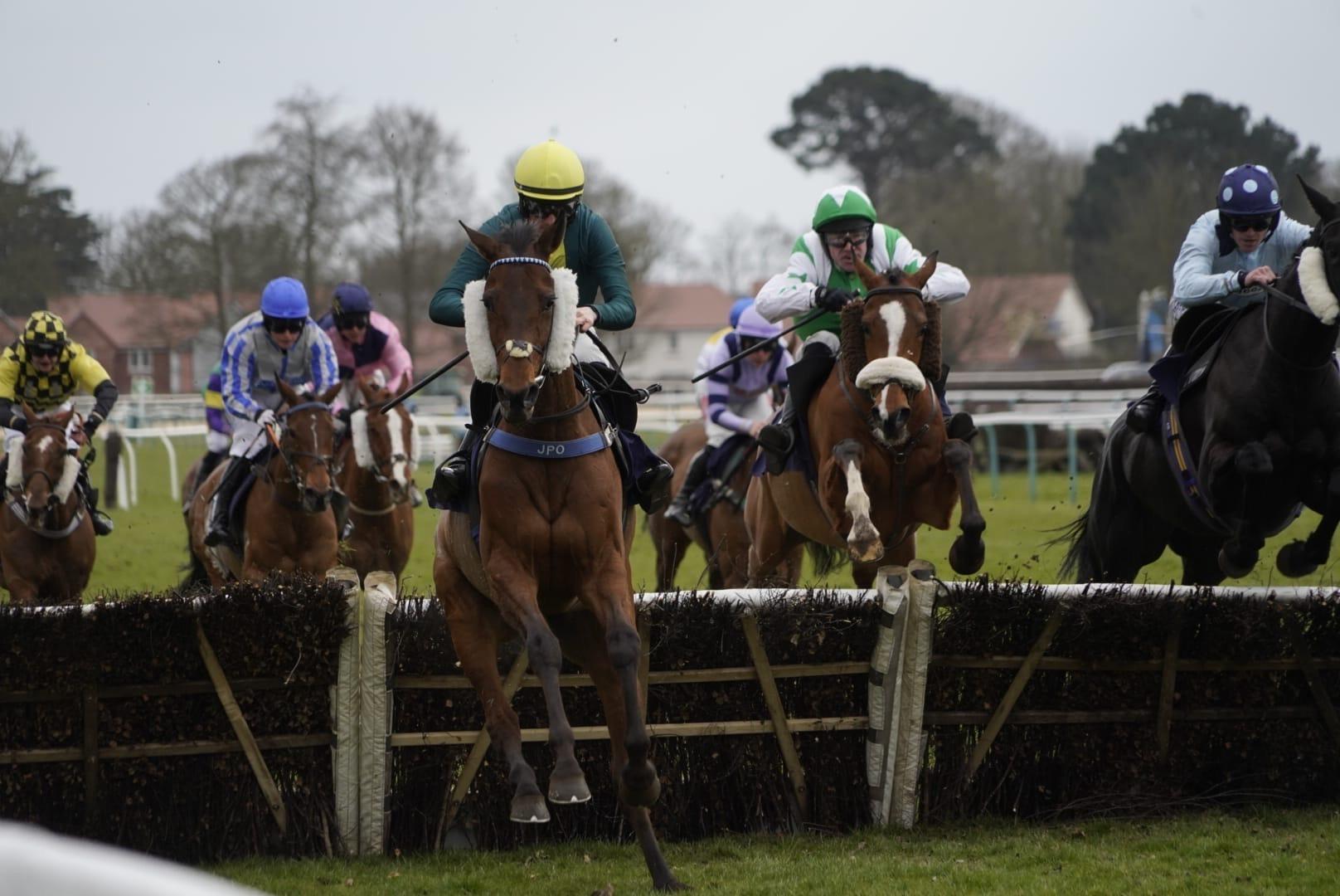 St Patrick's Day racing at Fontwell Park - in 23 photos by Clive Bennett