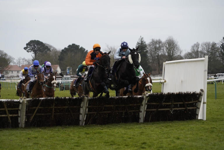 St Patrick's Day racing at Fontwell Park - in 23 photos by Clive Bennett