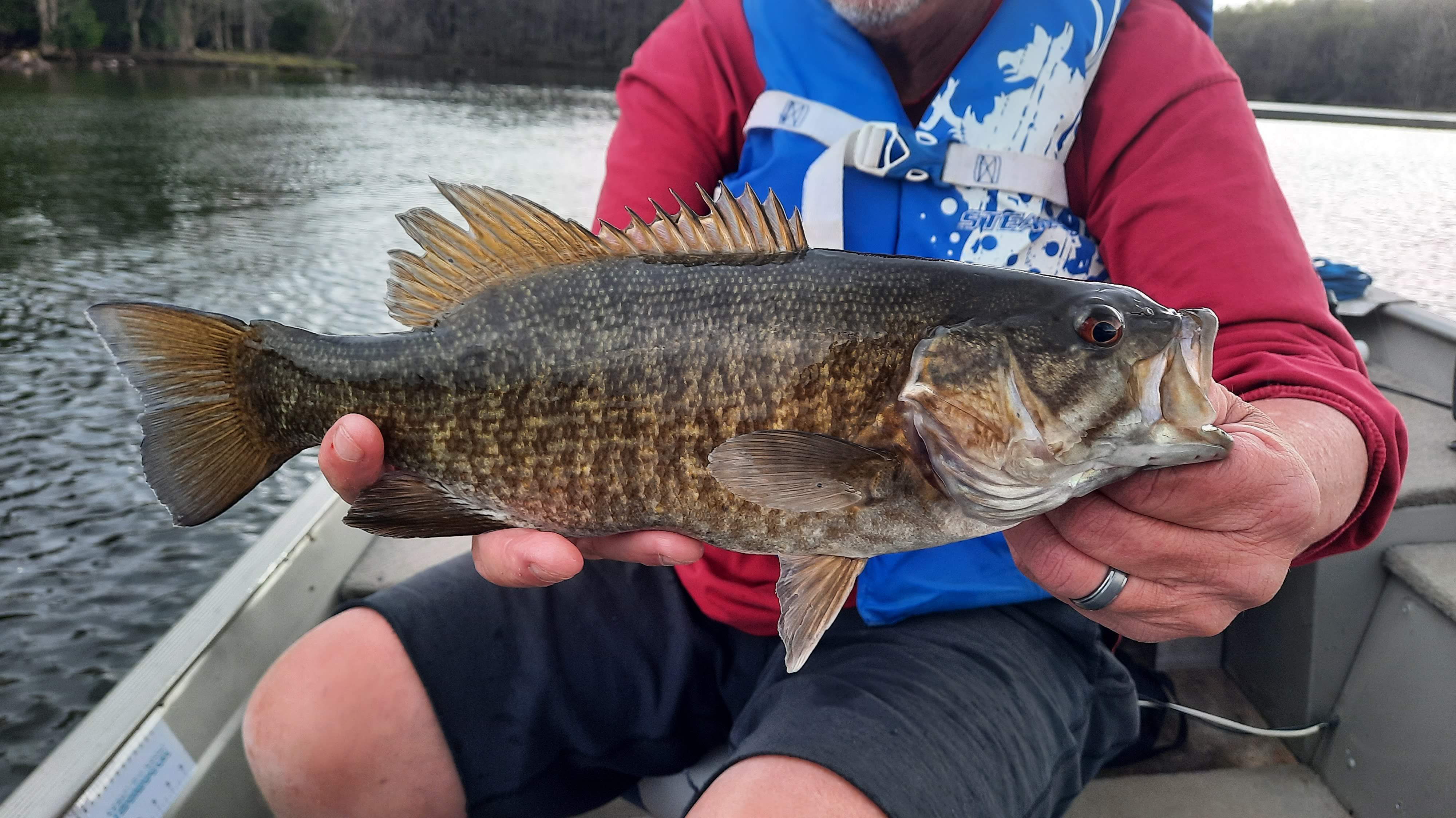Thinking about bass fishing in Pennsylvania? Here's what you need to ...