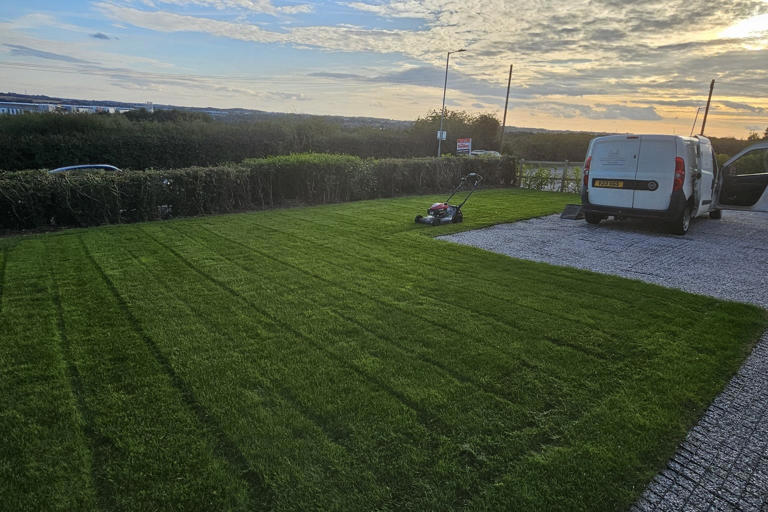 Google reviews: Look forward to spring with top nine gardeners in ...