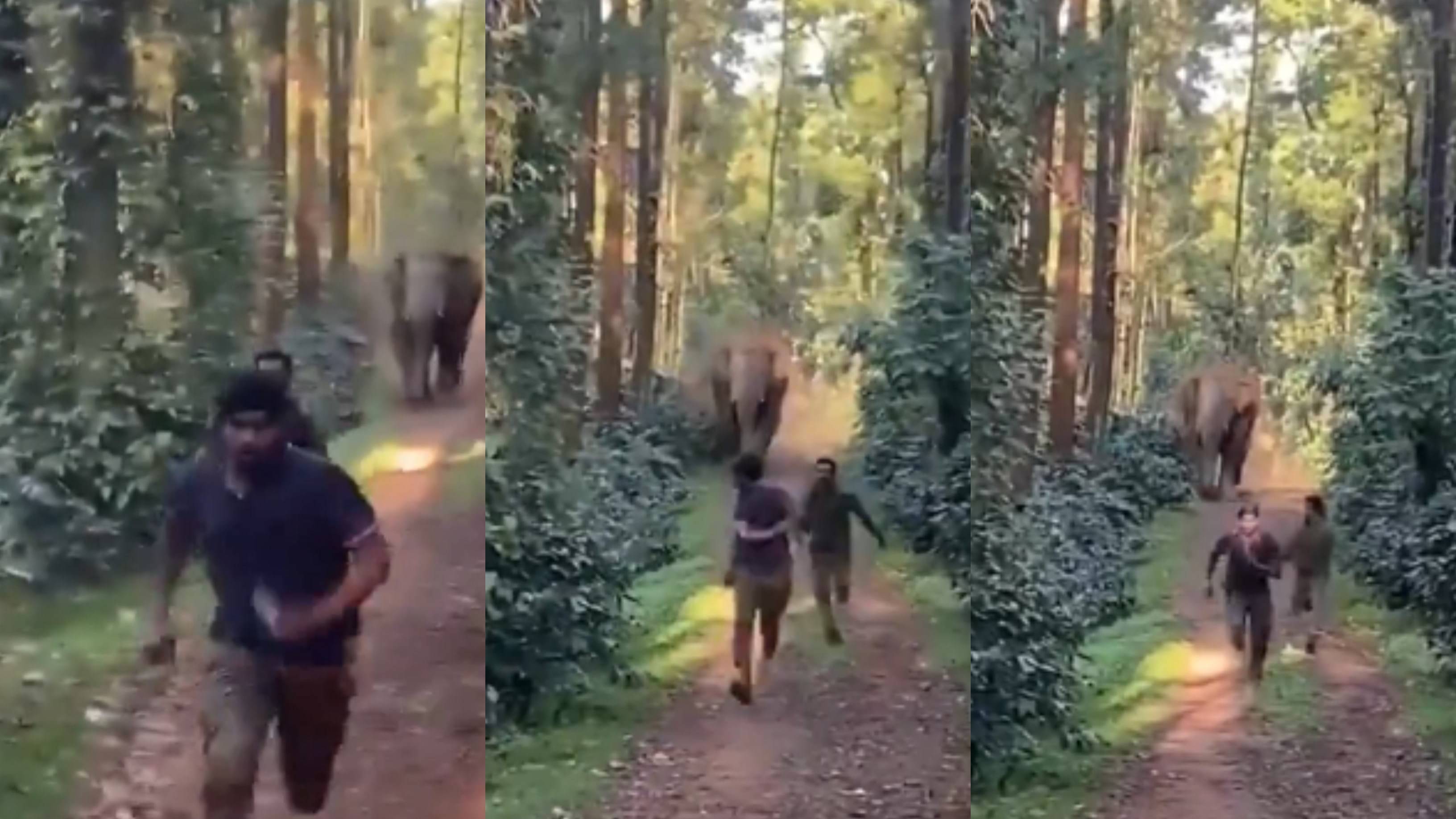 Heart-pounding Video Shows Giant Elephant Charging at Two Men in ...