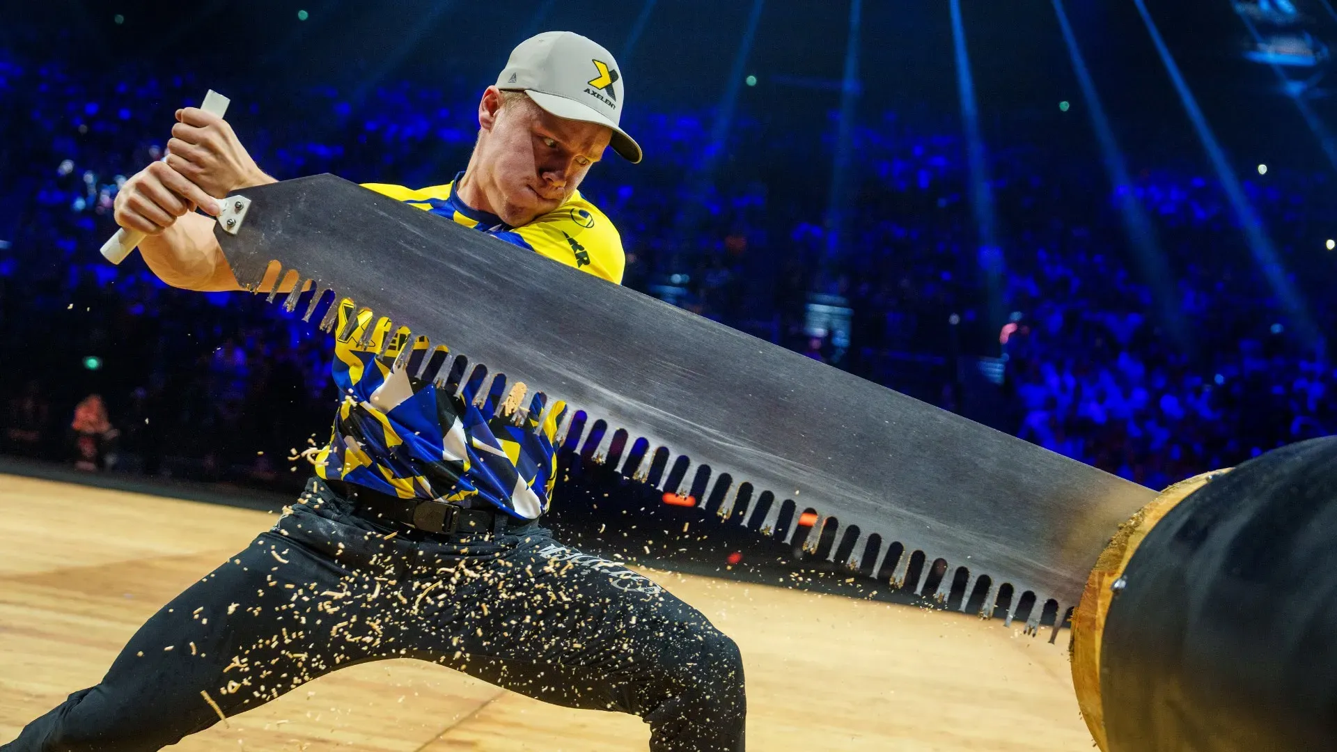 Holzhacken ist ein extremer und spektakulärer Sport: Fotos