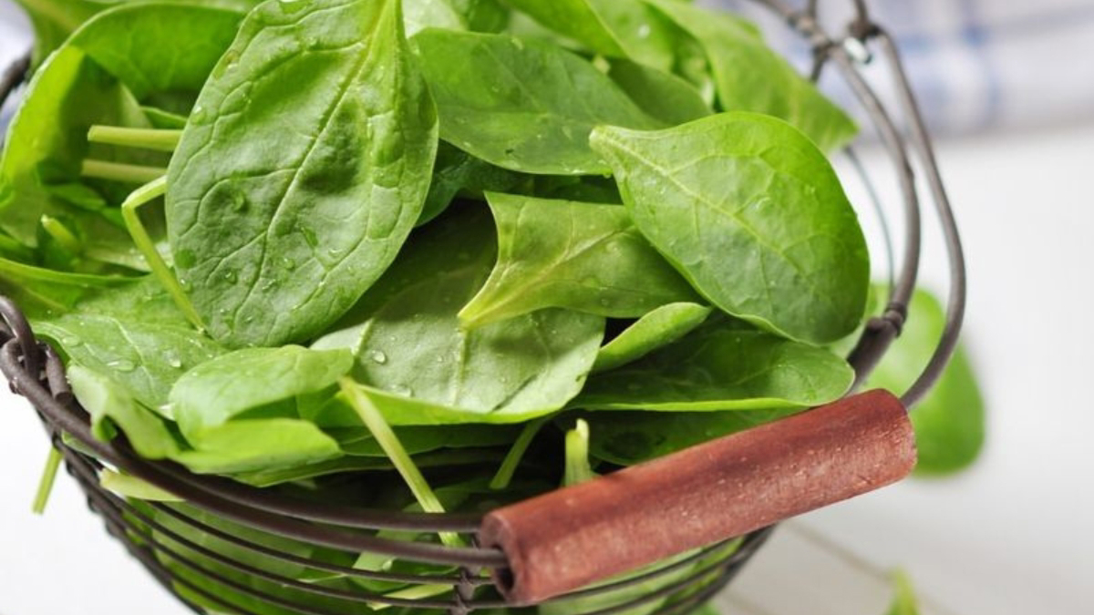 Plant Powered Perfection with 15 Vegan Superfoods to Transform Your Meals Plant Powered Perfection with 15 Vegan Superfoods to Transform Your Meals