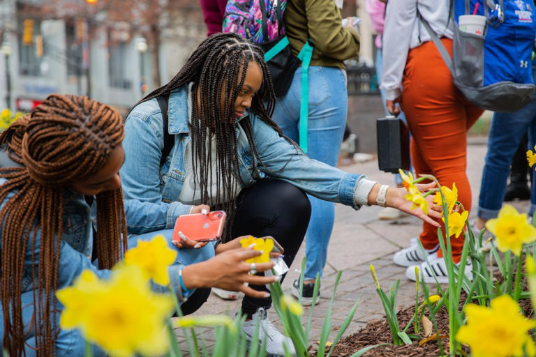 The Daffodil Project marks one million plantings in Downtown Atlanta