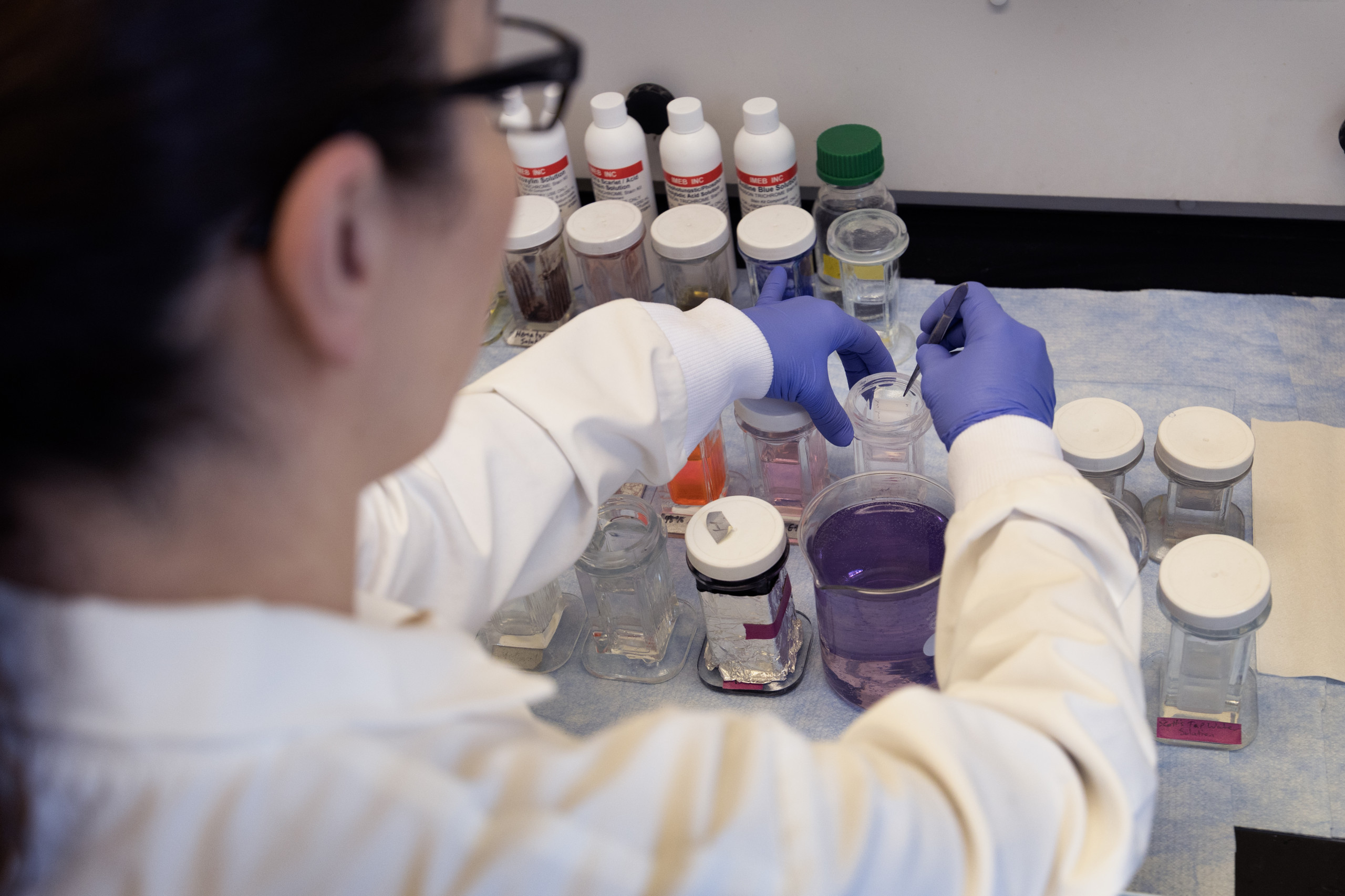 The impact of fake studies on scientific research