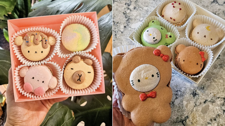 Rose Chu sells cute, Asian-inspired macarons in Des Moines
