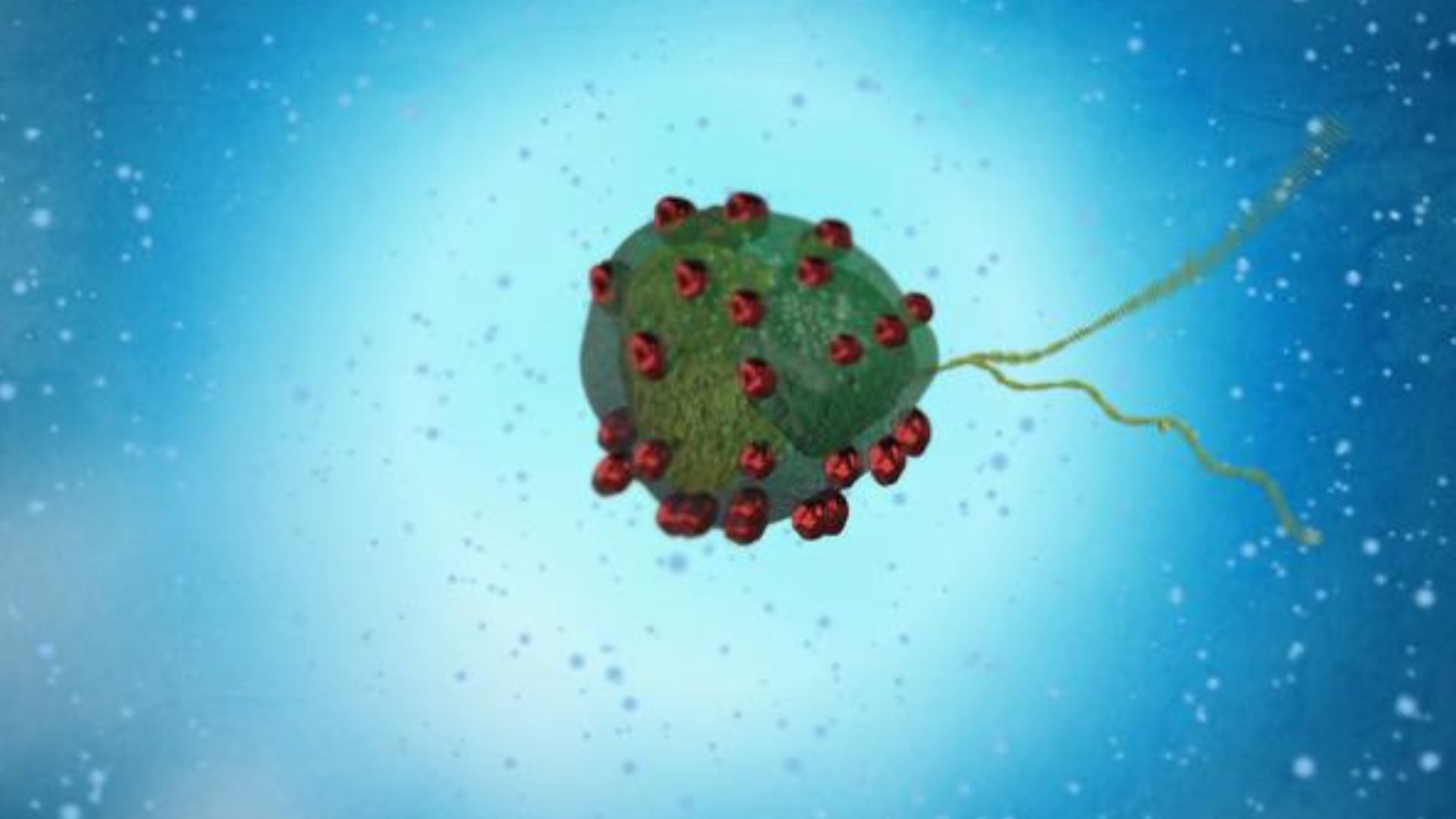 Scientists turn tiny algae-powered robots into Olympic athletes with ...