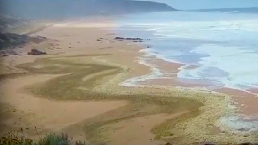 Mysteriöser gelber Todesschaum raubt Menschen den Atem