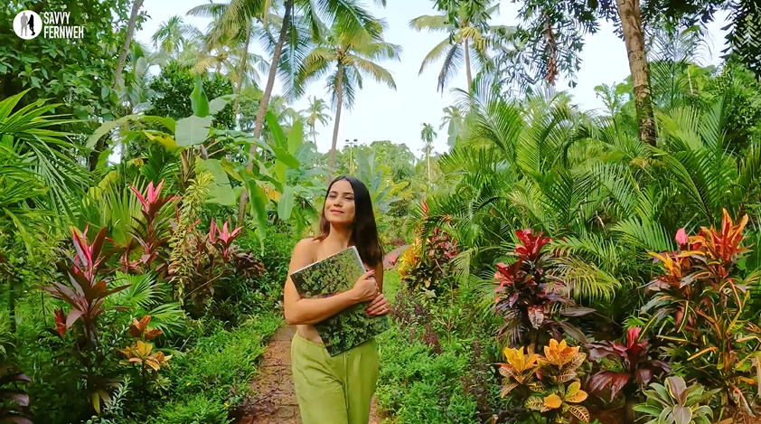 Coorg’s Misty Valleys: A Coffee Lover’s Dream in South India