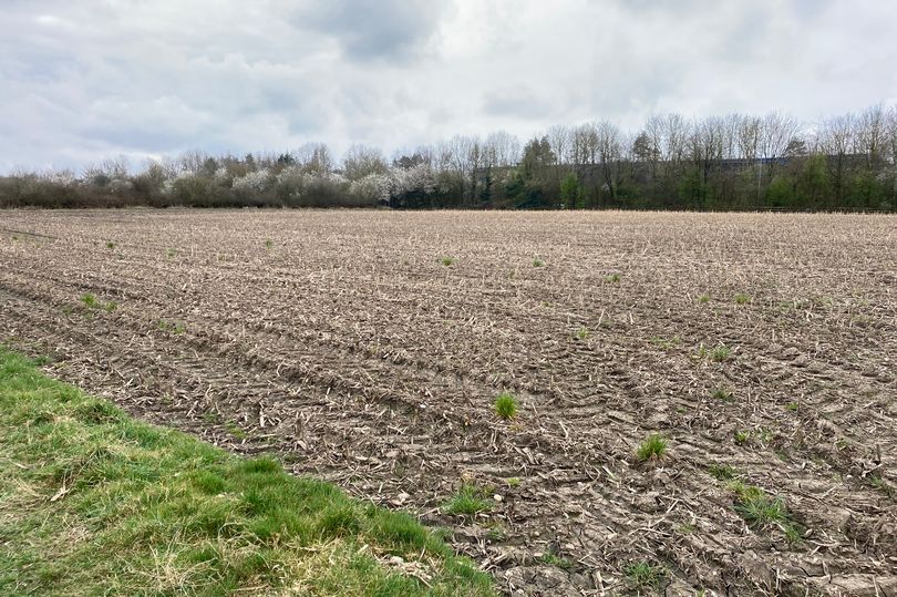 'Utter madness' say LeicestershireLive readers amid plans for nearly ...