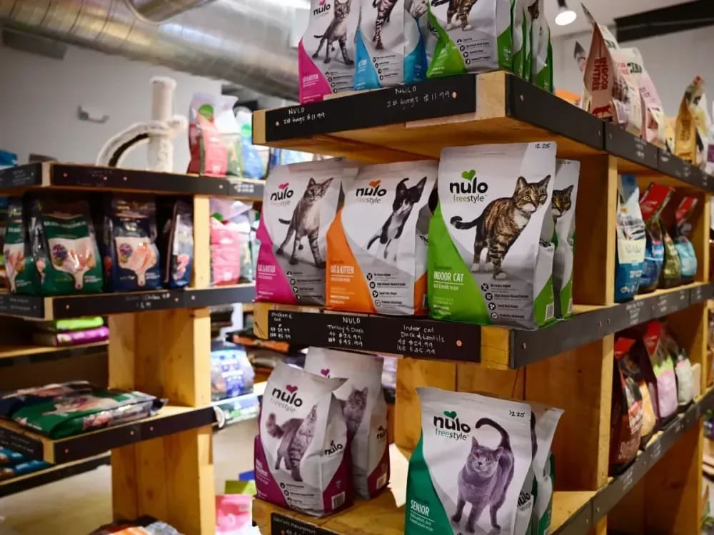 Wag! Group Stock Jumps After-Hours As Board Weighs Strategic Moves ...