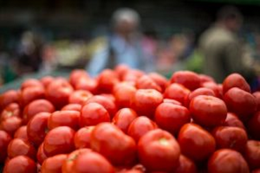 Tomato Prices Plummet Due to Surplus Production, Farmers Face Heavy Losses