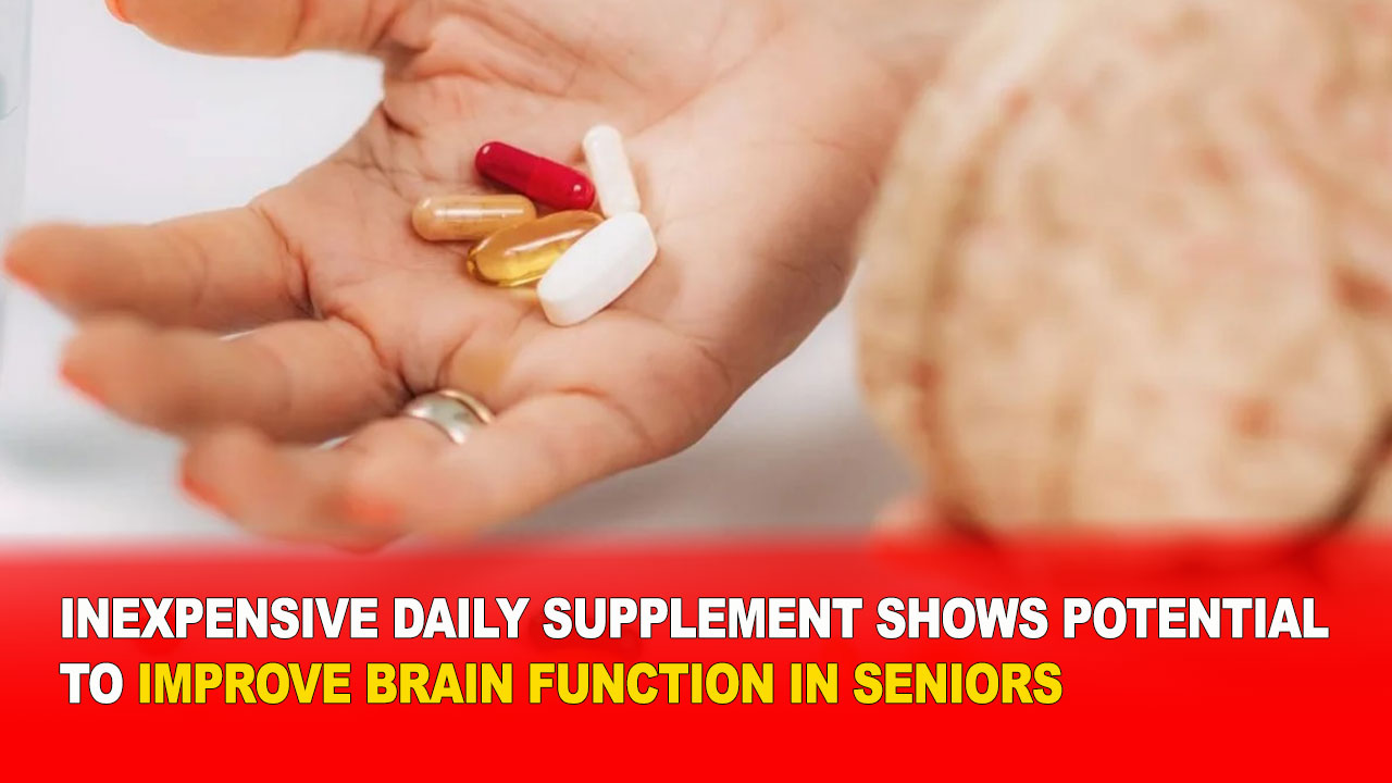 Inexpensive Daily Supplement Shows Potential to Improve Brain Function ...