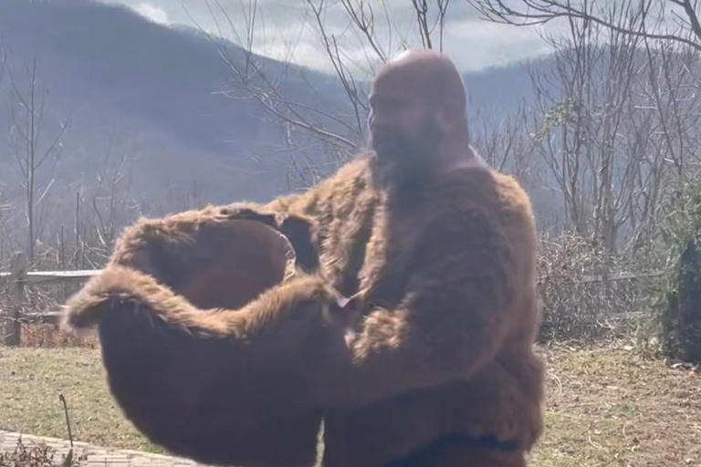 North Carolina man dons bear costume to scare off persistent real-life ...