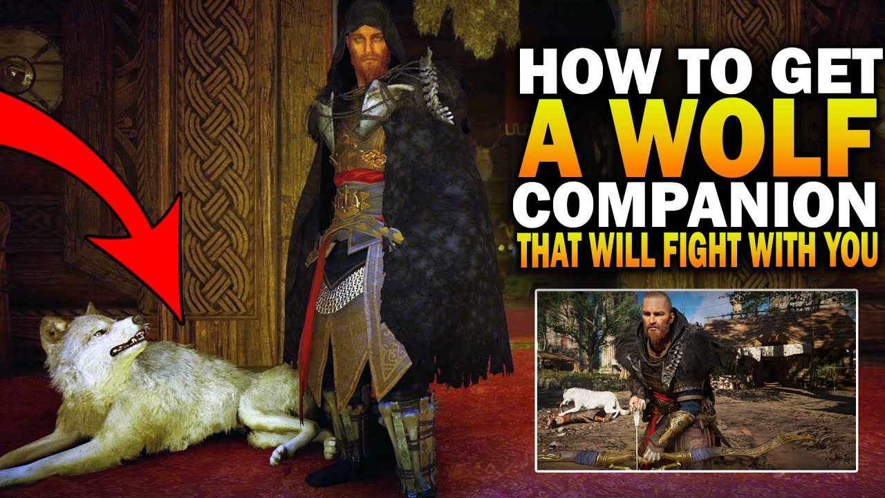 How To Get A Wolf Companion That Will Fight With You! Assassin's Creed ...