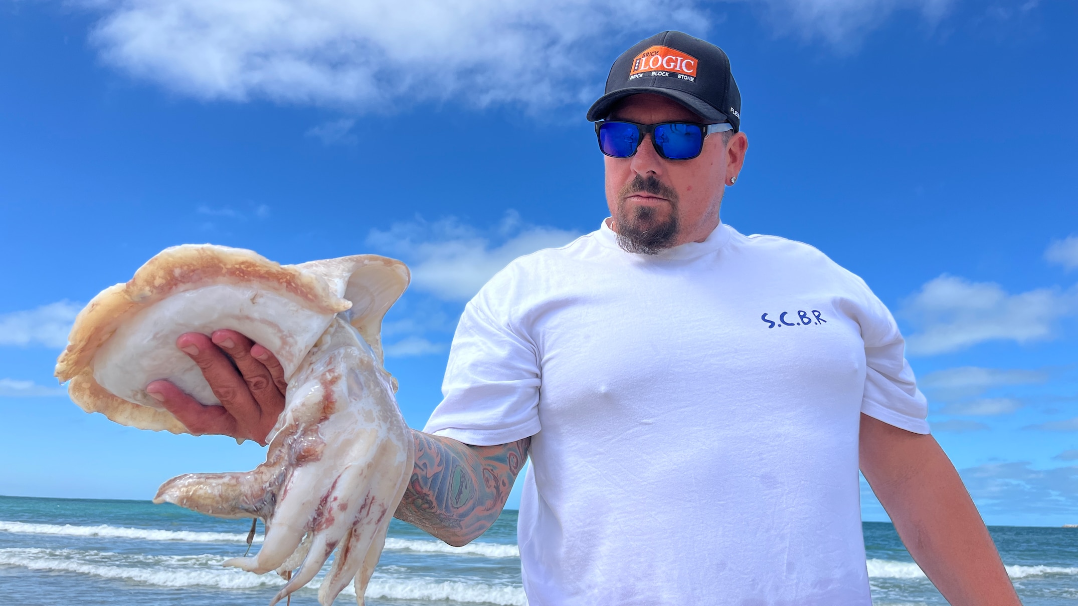 Microalgae toxic to fish identified as cause of bloom linked to ...