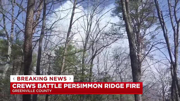 Officials: Crews battling Persimmon Ridge wildfire at more than 300 acres