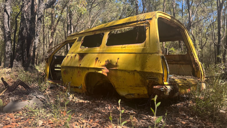 Lisa Mott cold case investigation leads police back to panel van found ...