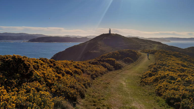 Neuseeland: Erdbeben erschüttert Südküste