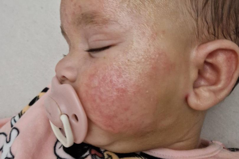 Inside Will Alves' Cardiff loan spell as Leicester City future verdict ...