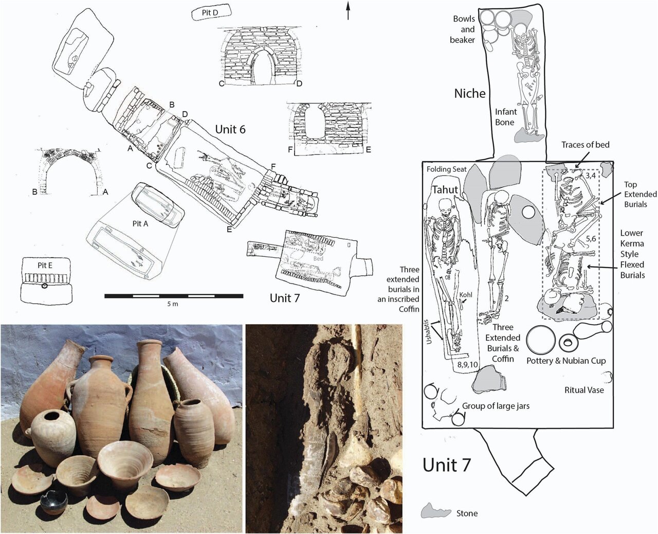 Skeletal analysis in Tombos tombs finds hardworking individuals buried ...