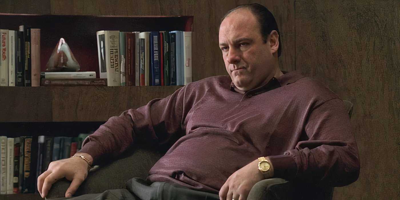 The End of The Sopranos, Explained