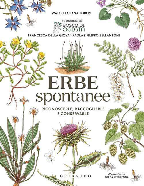 Erbe spontanee, fonti e libri per imparare a riconoscerle