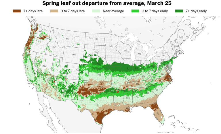 Where spring leaves are already out — and what it means for the season