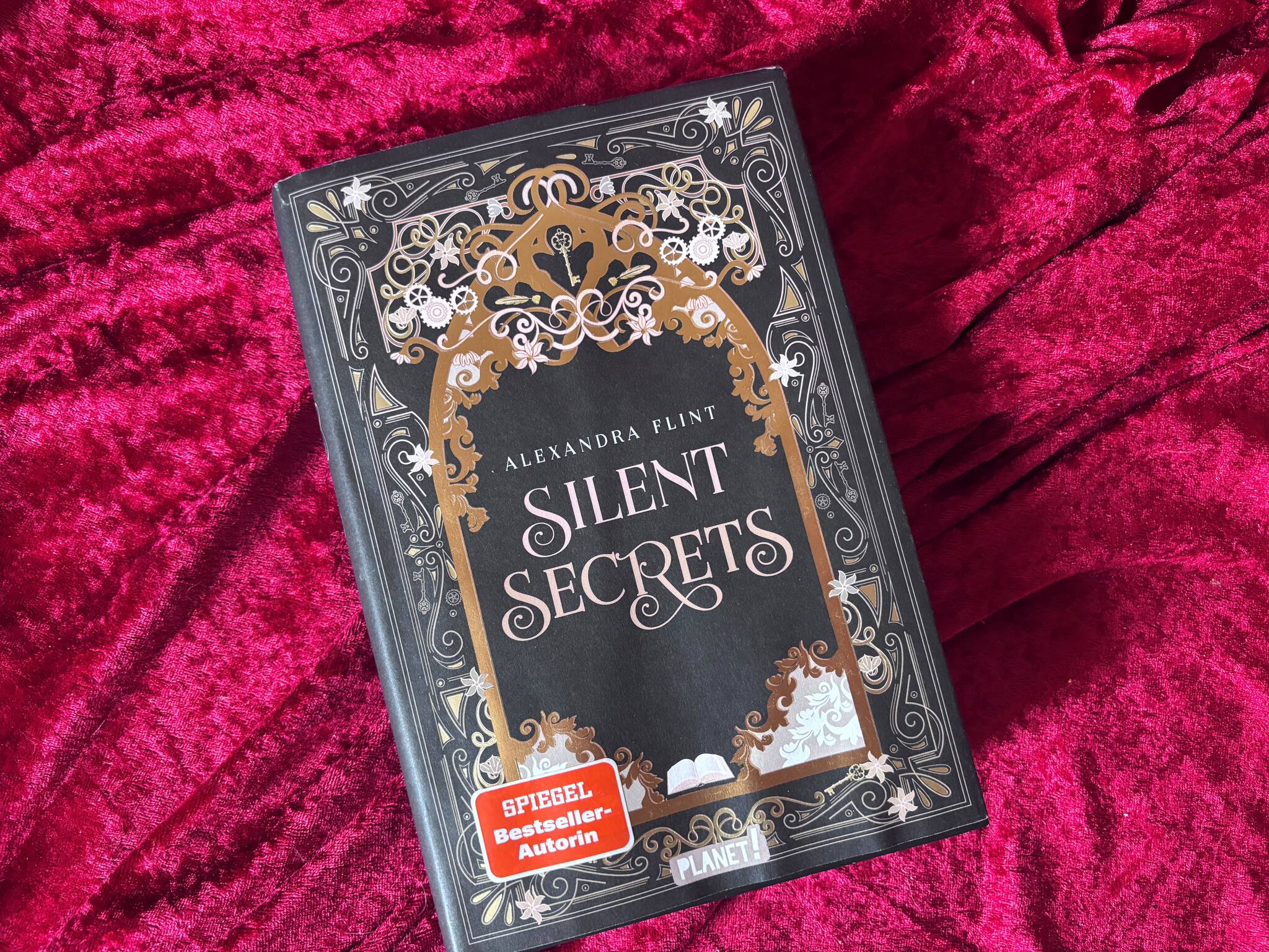 Buchrezension aus Gelnhausen: „Silent Secrets“ von Alexandra Flint