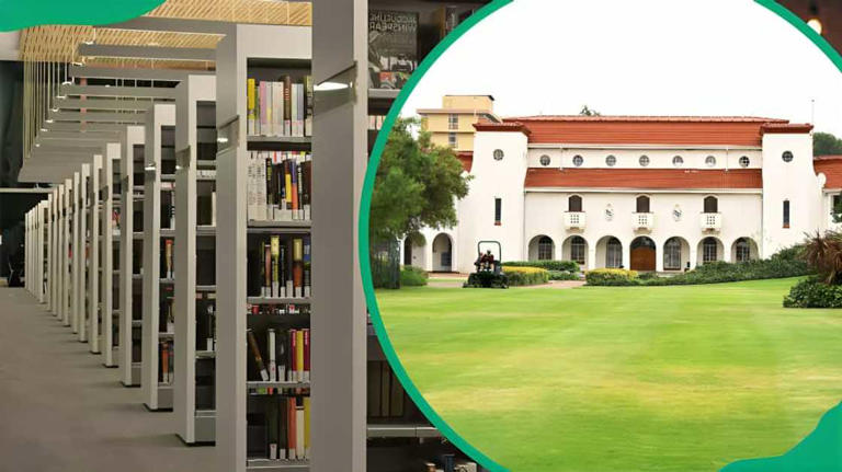 NWU online application for 2026: dates, prospectus, fees, status, contacts NWU online application for 2026: dates, prospectus, fees, status, contacts