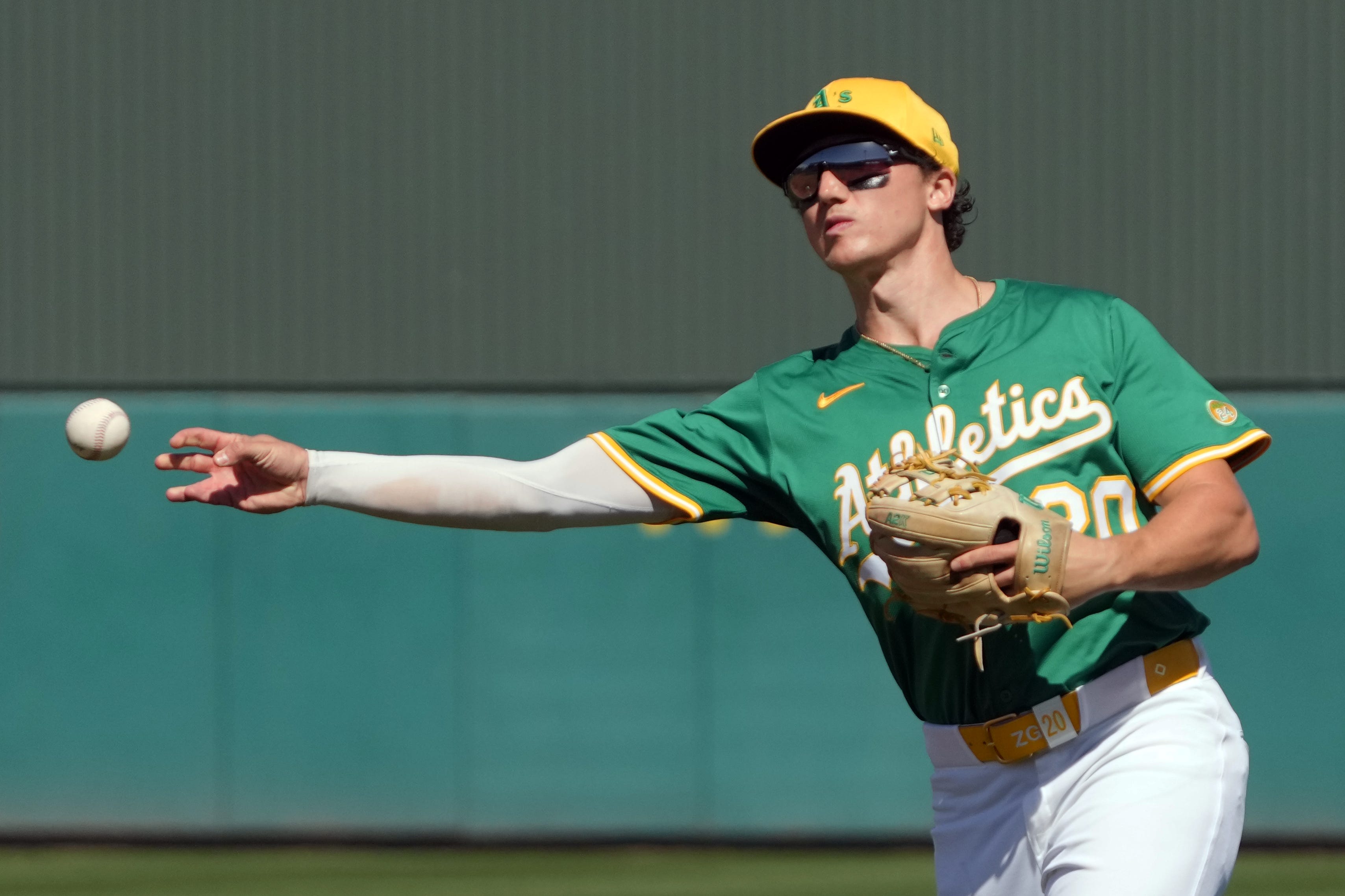 These Delaware baseball players are in the big leagues or close as 2025 ...