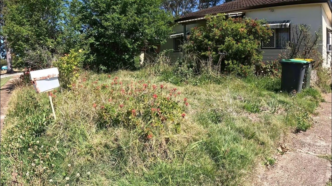 How We Transformed a Neglected Yard into the Best on the Block!