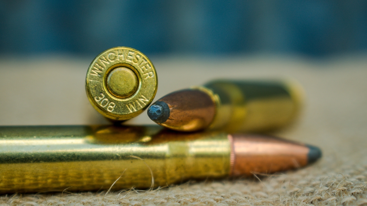 7 Hog-Hunting Cartridges That Get the Job Done