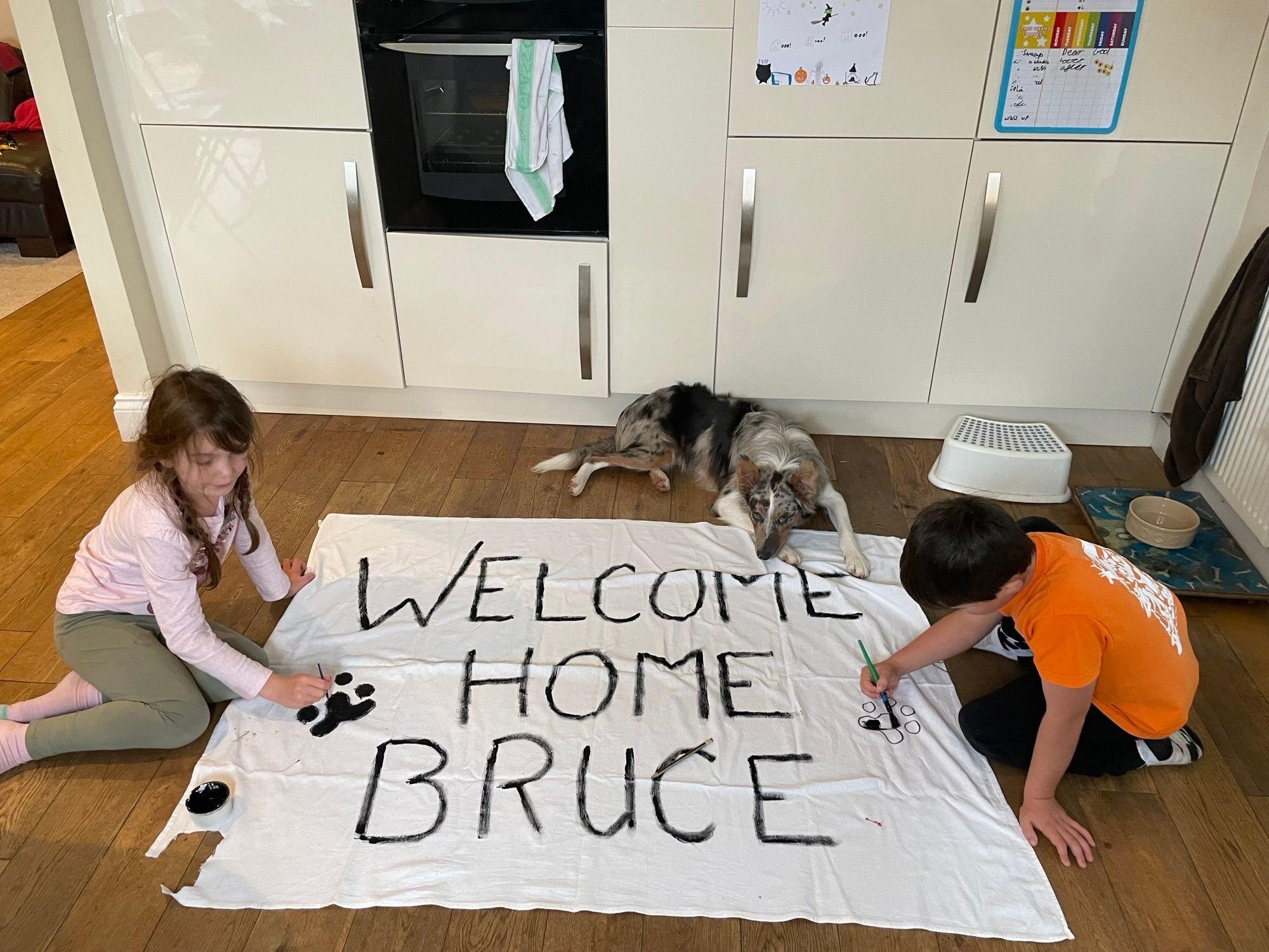 Miracle dog defies death - Vets save paralysed pup from rare killer illness