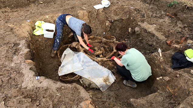 Archaeologists discover one of UK's largest Iron Age hoards in UK town