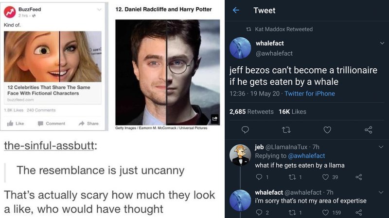 25 Humorous Statements That Are Technically True