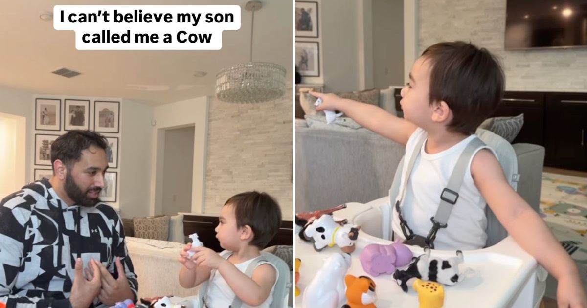 Video of Toddler Confusing Dad For Cow Leaves Internet in Splits