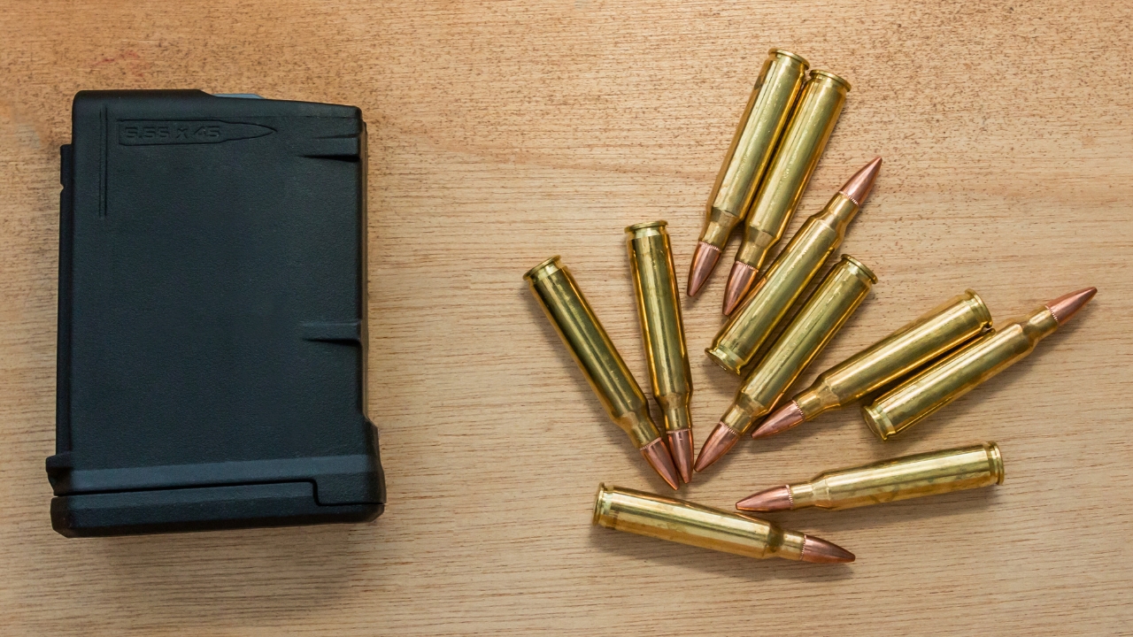 If the DOJ wins in DC., which state rifle bans are most exposed next?