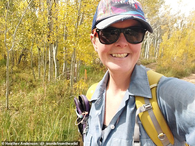 I've been to all 50 American states - these are the country's five ...