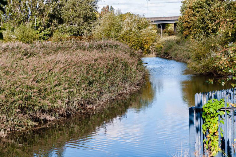 The 'unsafe' Essex river full of bacteria because of illegal sewage dumping