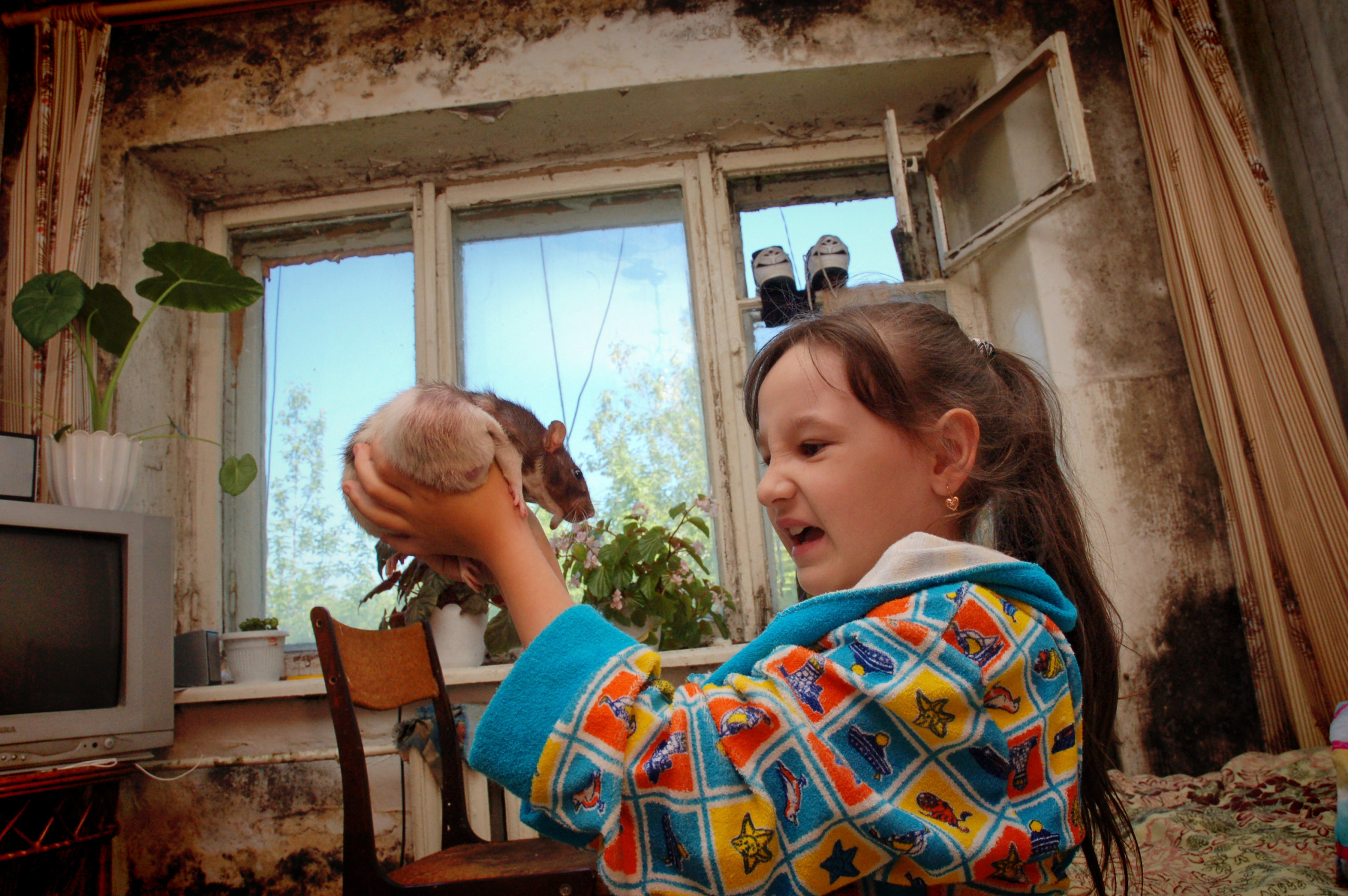 Why communal living is making a comeback