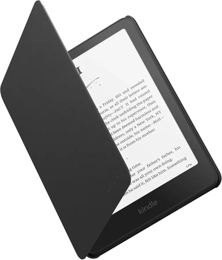 The Best Accessories for Your Kindle, Kobo or Any Other E-Reader