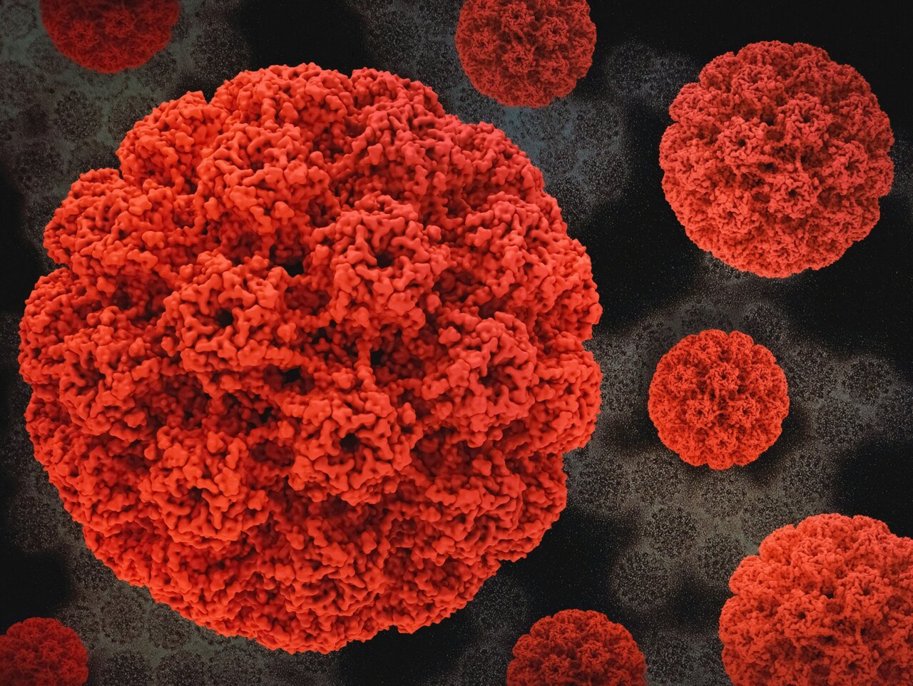 Growing body of evidence links HPV with heart disease