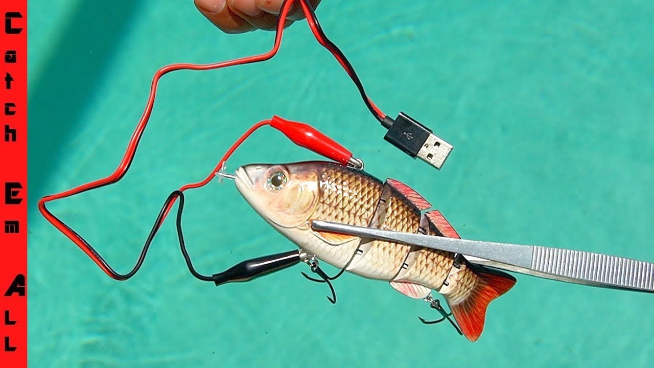 Robotic Fishing Lure | Does It Really Work?