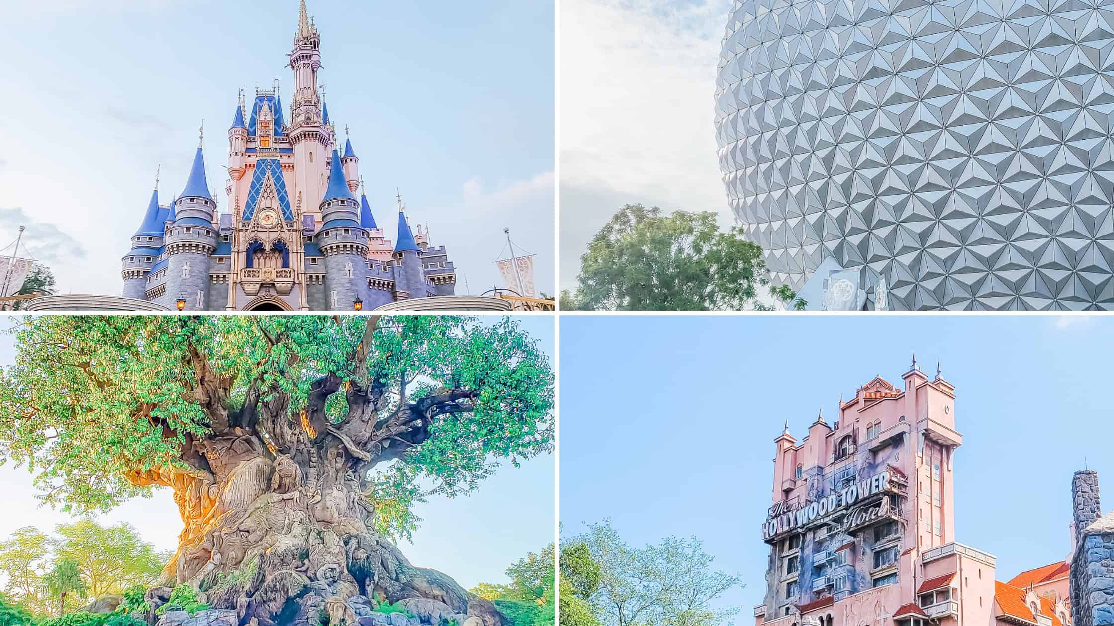 Disney World 101: Disney Tips for Beginners