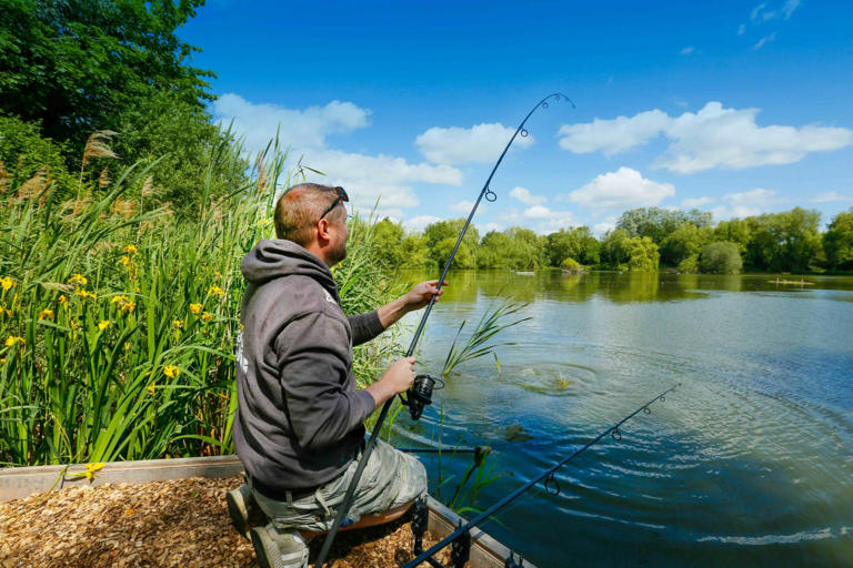 The best carp rods